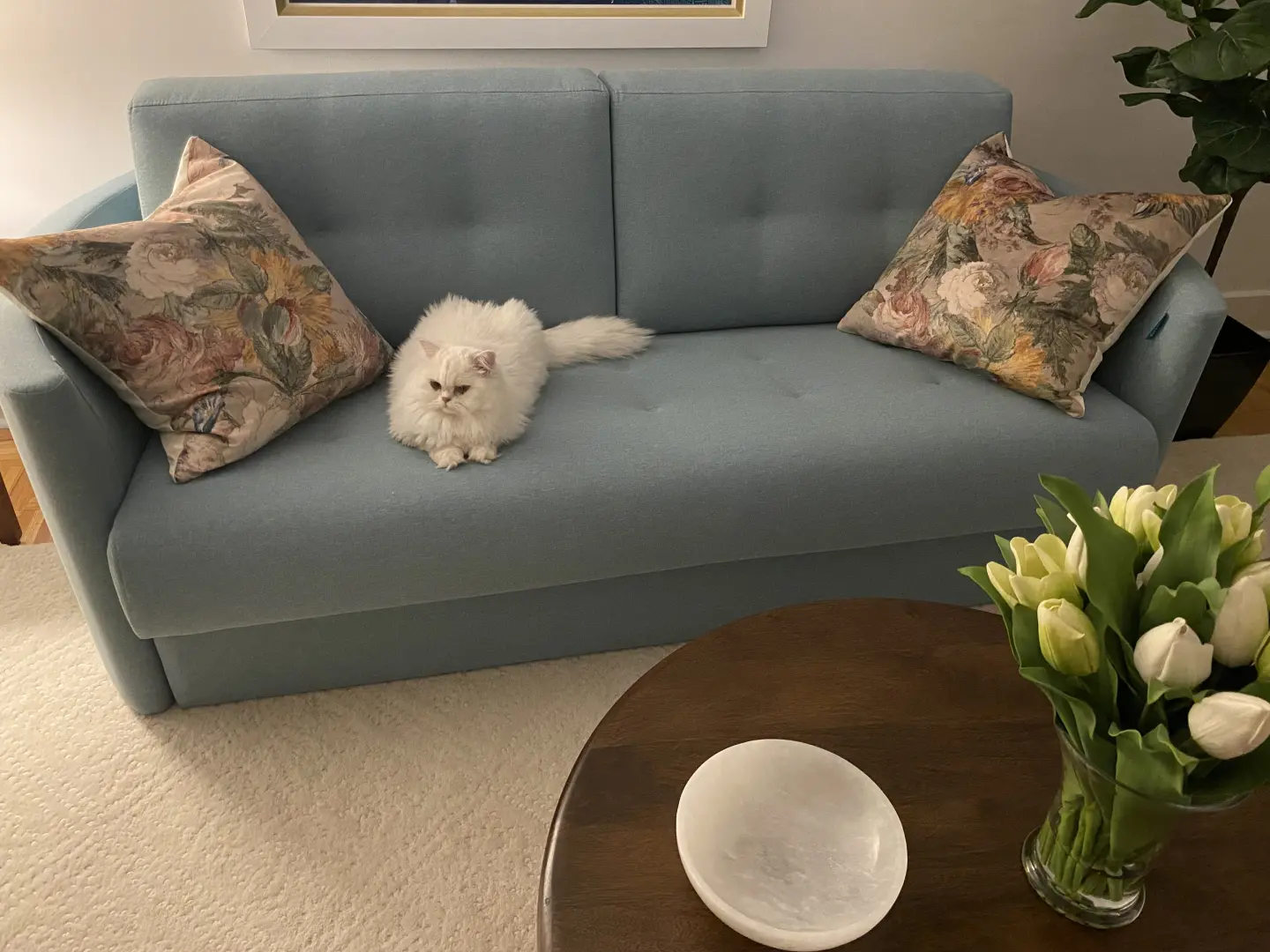 Bolero Sofá Cama | Fama Sofás